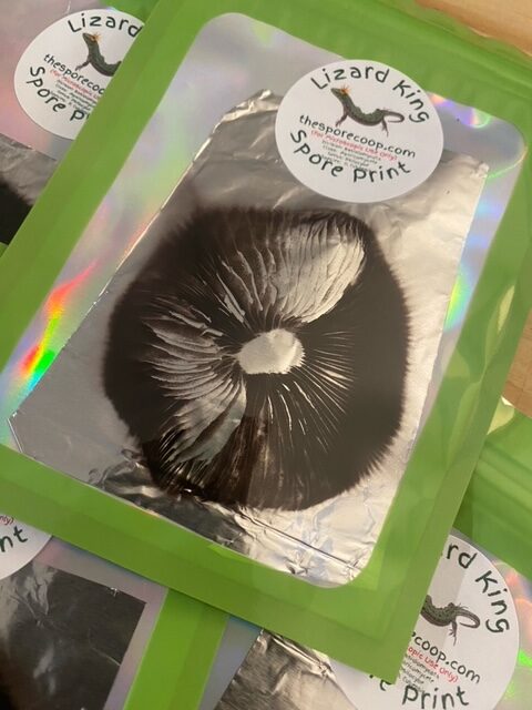 Lizard King - Spore Print - Basidium Equilibrium